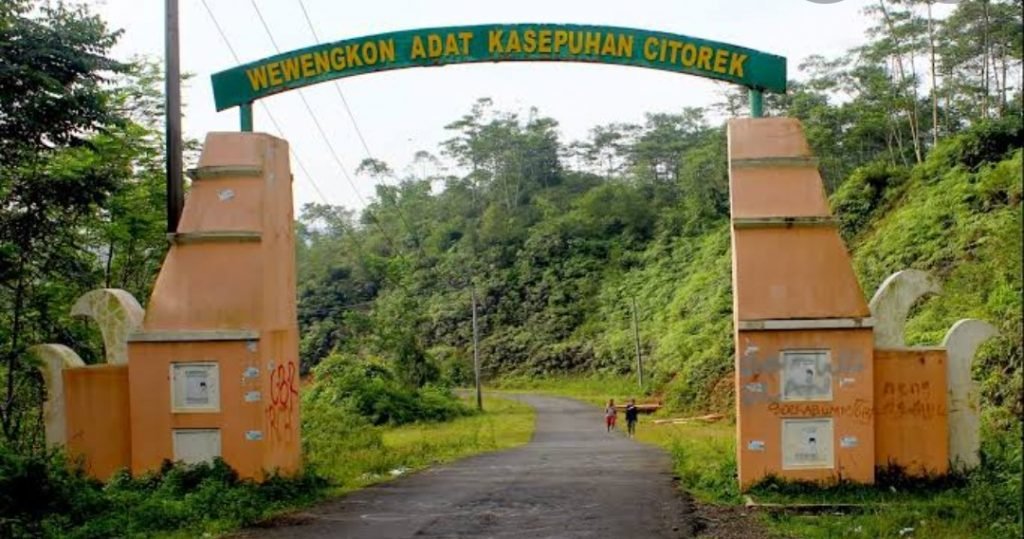 Desa Citorek Timur Kembangkan Budidaya Ikan Mas dan Destinasi Wisata ...